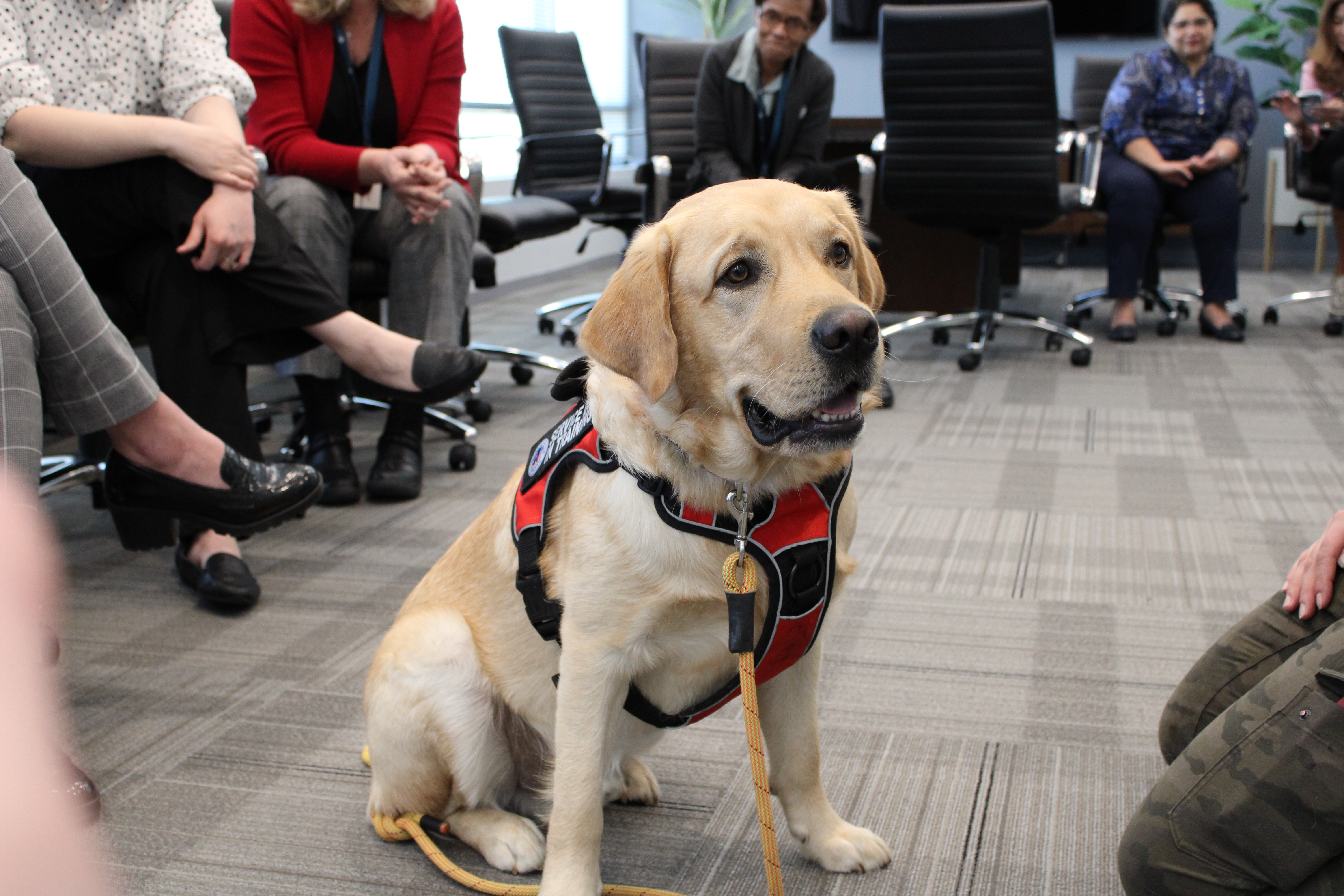 IT Cadre | Who We Are